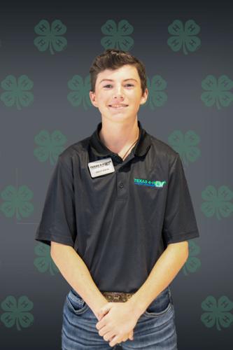 Texas Farm Bureau recognizes Grandview junior Davis | Local News ...