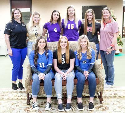 Seven teams represented in All-Johnson County volleyball superlative ...