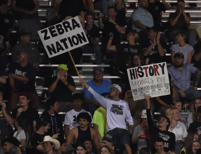 WEEK NINE: Zebras rally to defeat Maypearl | | cleburnetimesreview.com