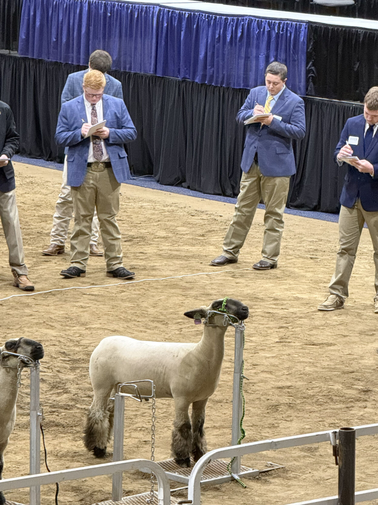 Johnson County livestock judging team earns international bid | Local ...