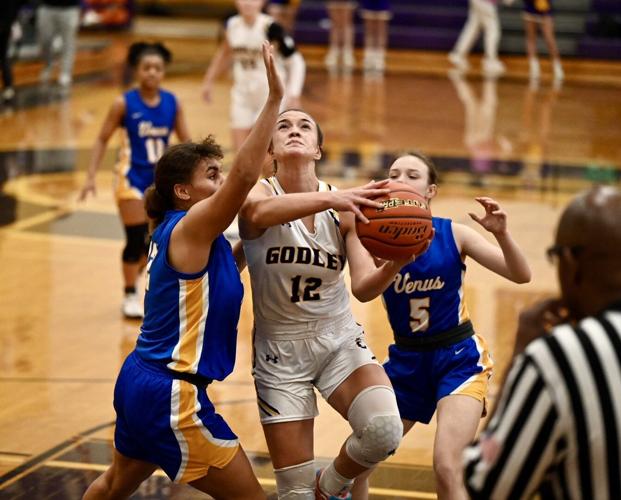 Ladycats earn state, region basketball honors | Sports ...
