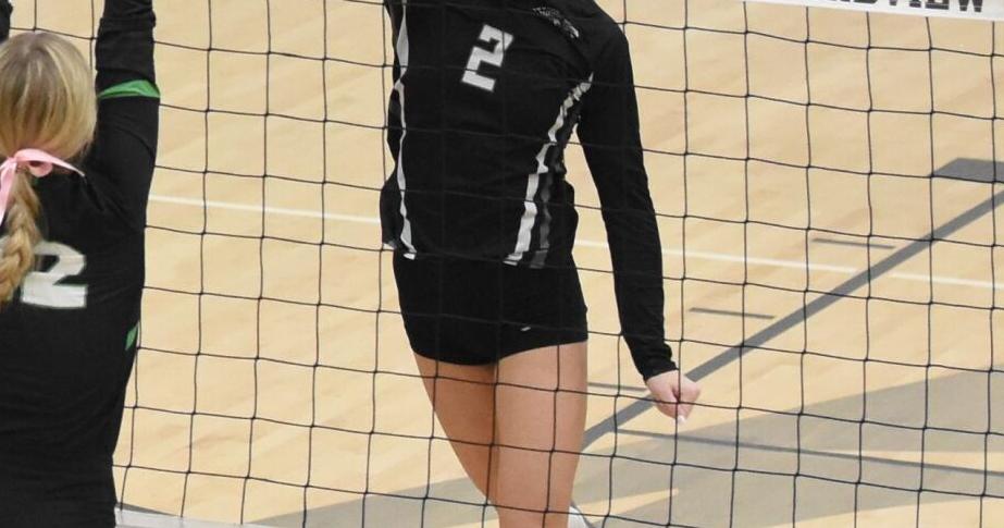 Johnson County bi-district volleyball playoff pairings | Sports ...