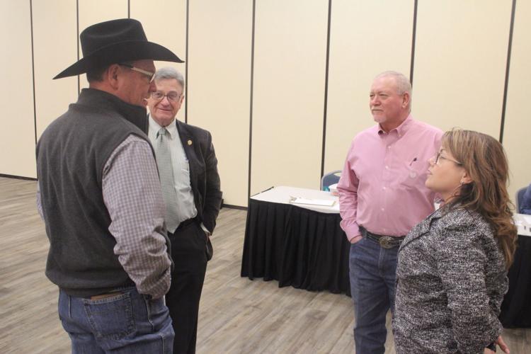 Mel Birdwell reflects on life as senator’s wife with JCRW | Local News ...