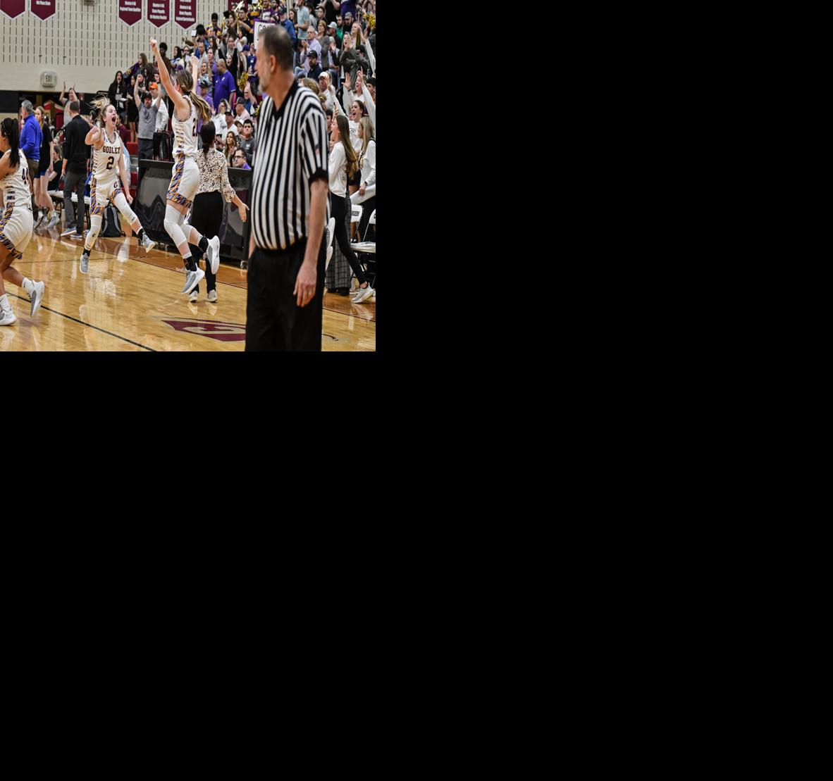 Godley beats Van Alstyne to advance to regional tourney | Sports ...