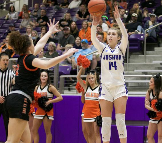 Lady Owls upset Aledo to claim area title | Sports ...