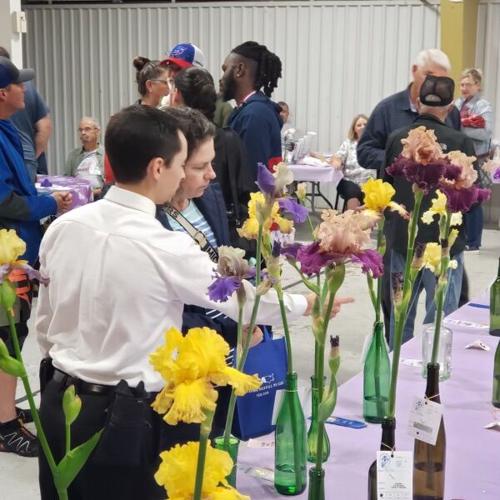 Johnson County Iris and Daylily Society hosts Iris Show and Sale ...