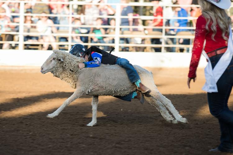 PHOTOS: JCSP hosts 2022 PRCA Rodeo | Local News | cleburnetimesreview.com