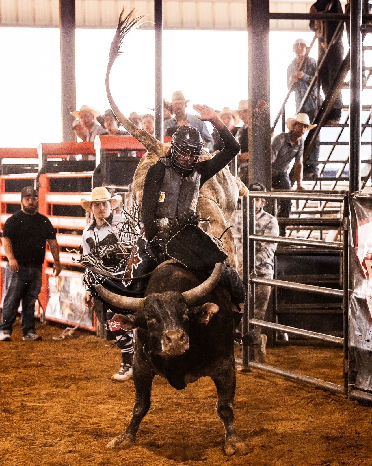 New bull riding event brings music, crawfish and competition to ...