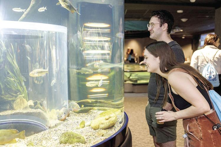 Sip and savor at the Tennessee Aquarium’s Fish & Sips craft beer event ...