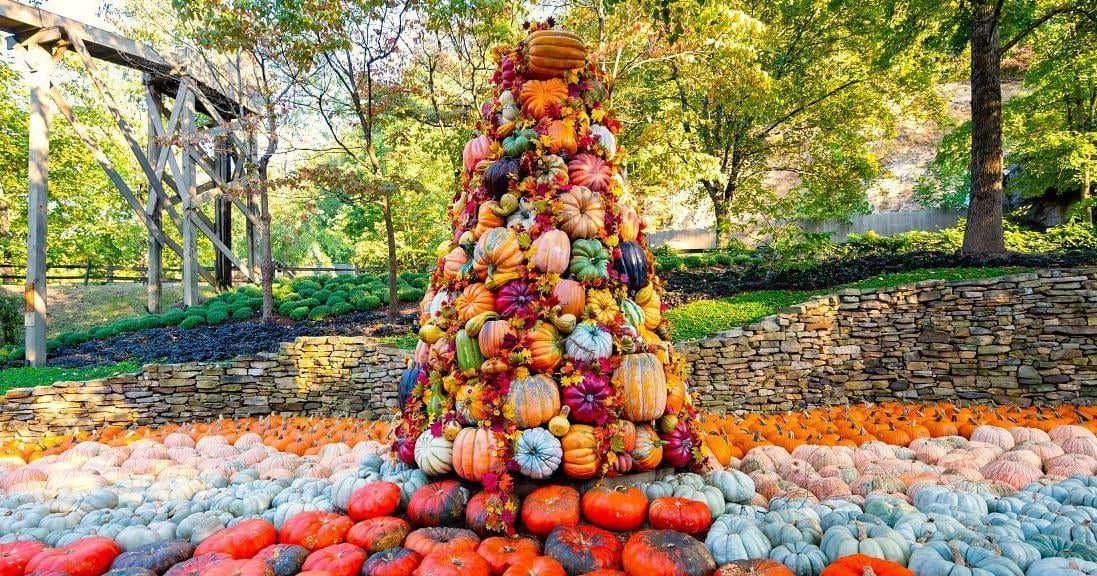 Celebrate fall at Dollywood's Harvest Festival TEST | Entertainment ...