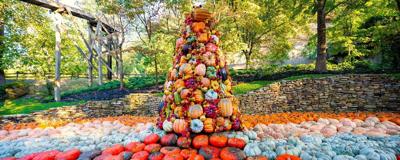 Celebrate fall at Dollywood's Harvest Festival | Entertainment ...
