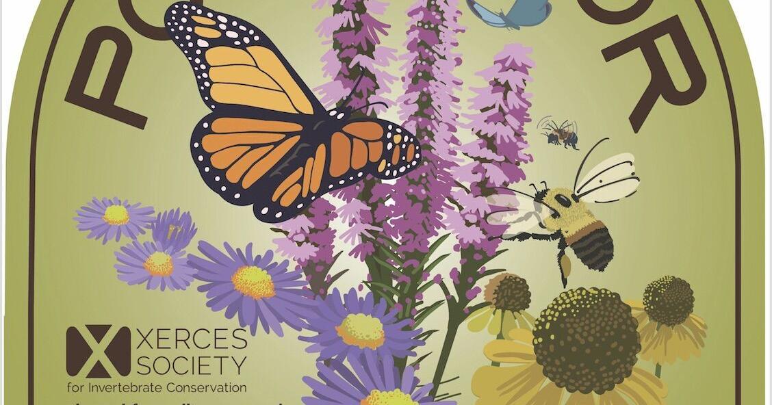 City to plant Arbor Day tree and pollinator garden at Fletcher Park ...