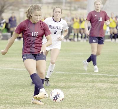 Lee U's Dirkse scores academic points | Sports | clevelandbanner.com