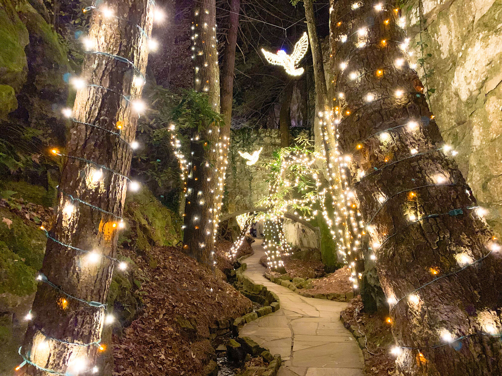 Experience the wonder: Enchanted Garden of Lights opens Nov. 14 | News ...