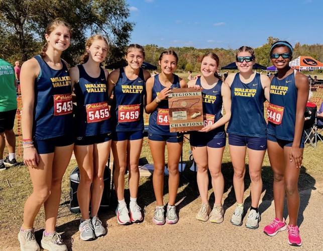 Clemons, Lady 'Stangs shine at XC state | Sports | clevelandbanner.com
