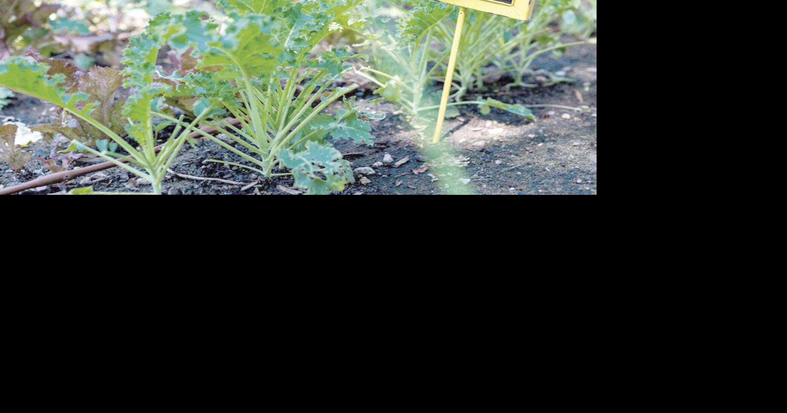 NRCS Tennessee plans Urban Agriculture and Small Farm Outreach Event ...