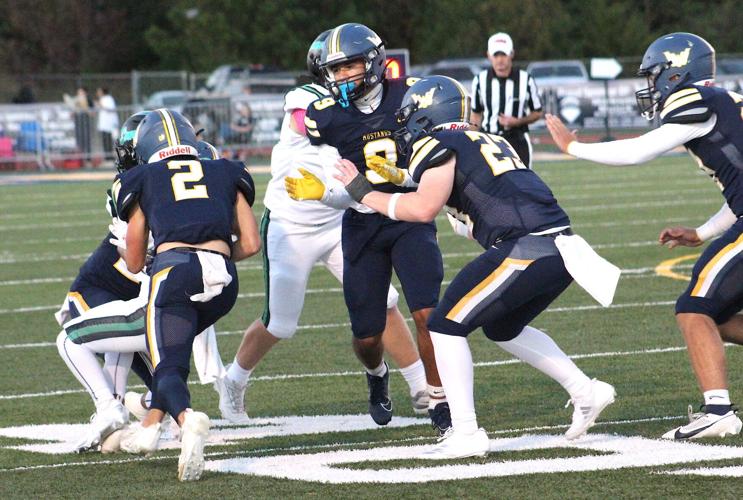 'Stangs stall Storm; tie for region lead | Sports | clevelandbanner.com