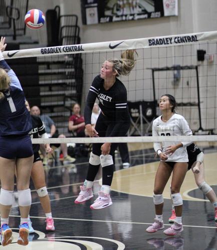 Bearettes advance as 6-AAA runner-up | Sports | clevelandbanner.com