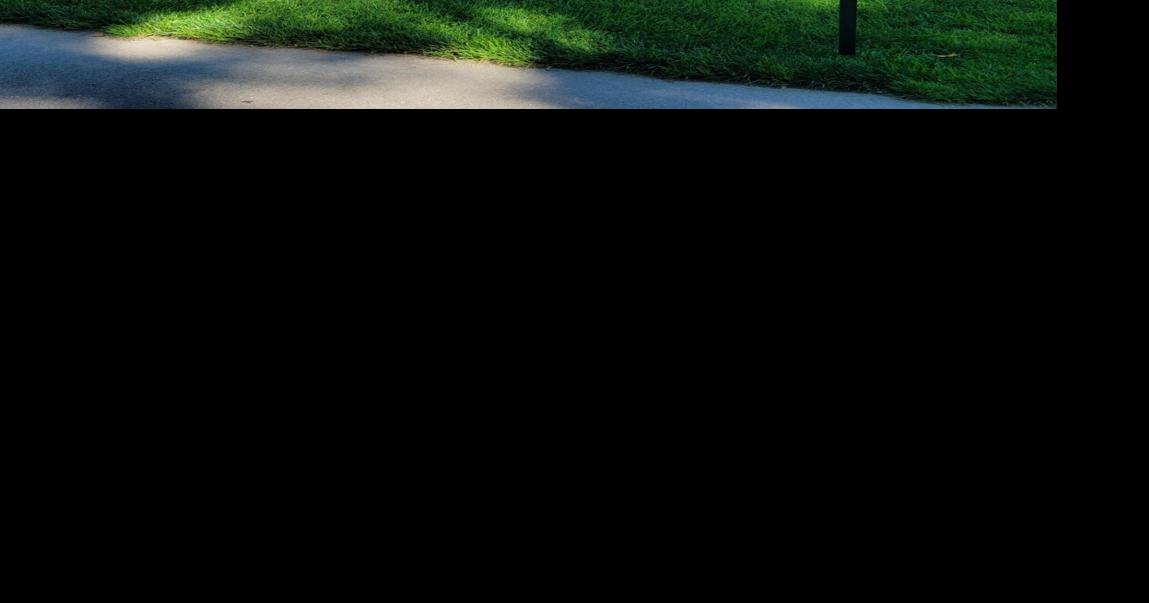 Looking forward to the upcoming Browns season | Andy Baskin ...