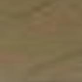 steve bogart obituary