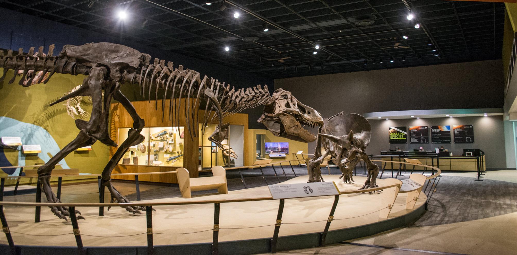 Cleveland Museum of Natural History celebrates centennial | Local News ...