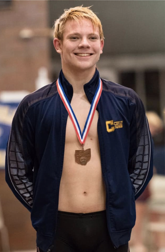Copley’s Hertz leads area swimmers, divers at state meet | Sports ...