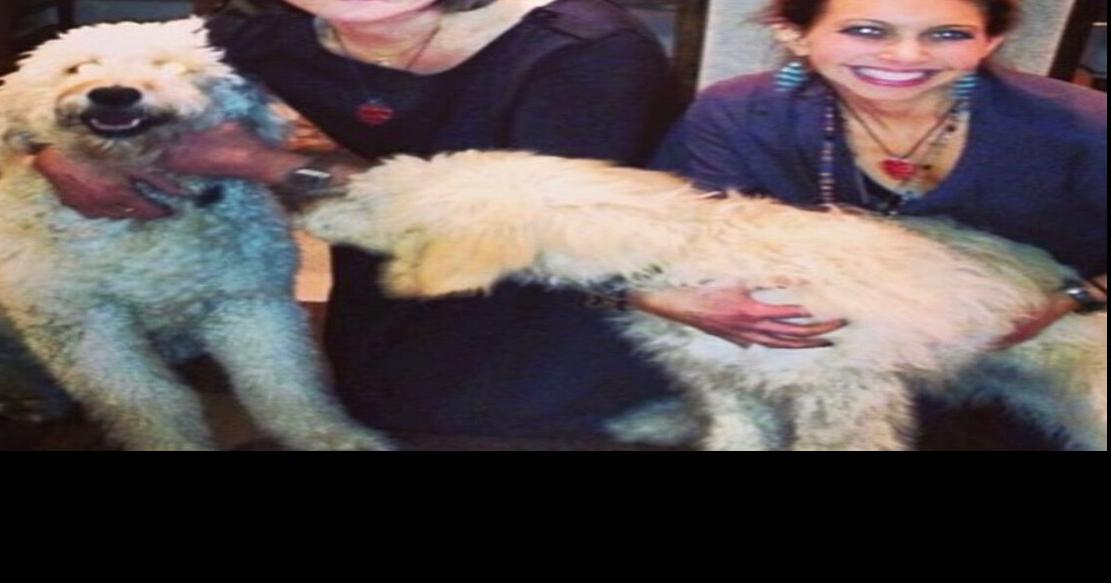 1. Who was Aliza Sherman? Daughter, Sister, Nurse, Mother | Sherman ...