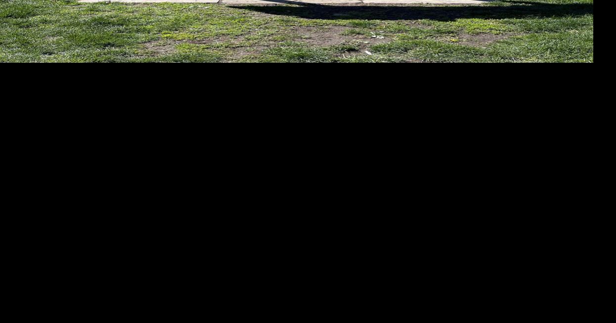 Ohio State likely violated student’s free speech over Israel-Palestine ...