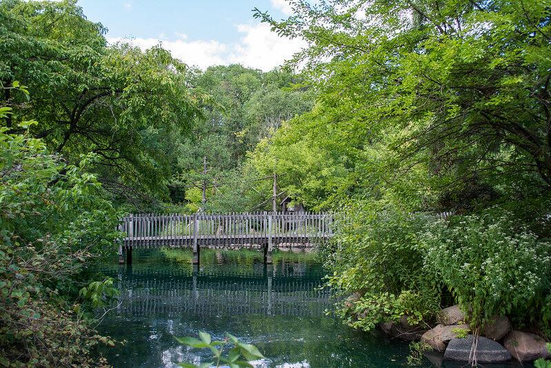 Remembering David Mark Berger – 50 years after the Munich massacre ...