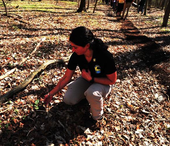 127-acre Solon Woods State Nature Preserve dedicated | Local News ...