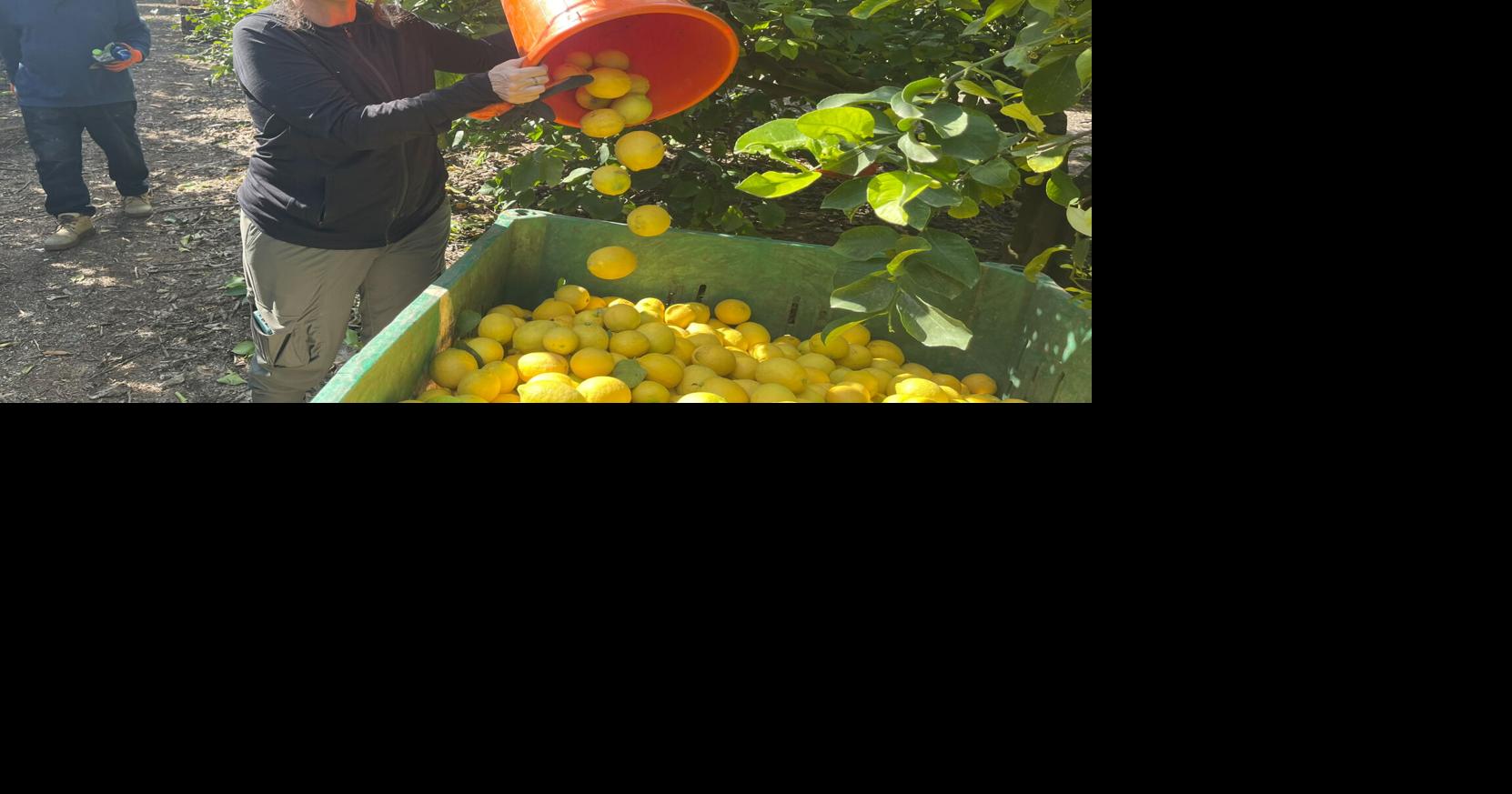 For Pepper Pike couple, this Israel trip was different | Local News ...