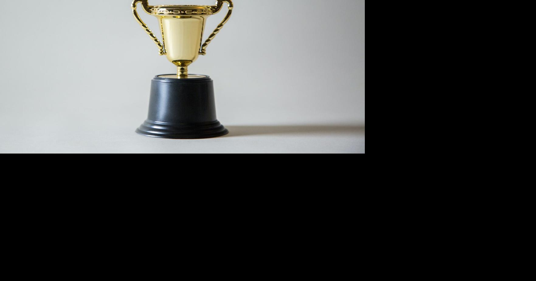 Mandel Foundation to receive Cleveland Arts Prize Robinson Prize ...