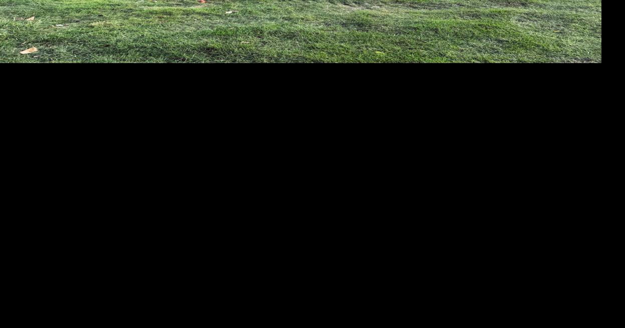 Federation hostage ribbon may be replaced by permanent memorial | Local ...