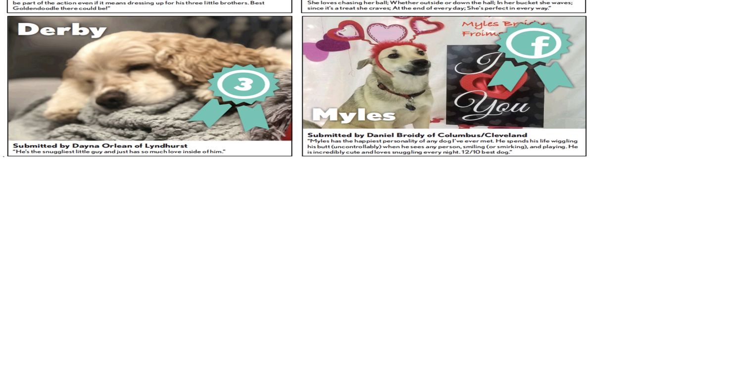 Best Pet Contest winners | Pets | clevelandjewishnews.com