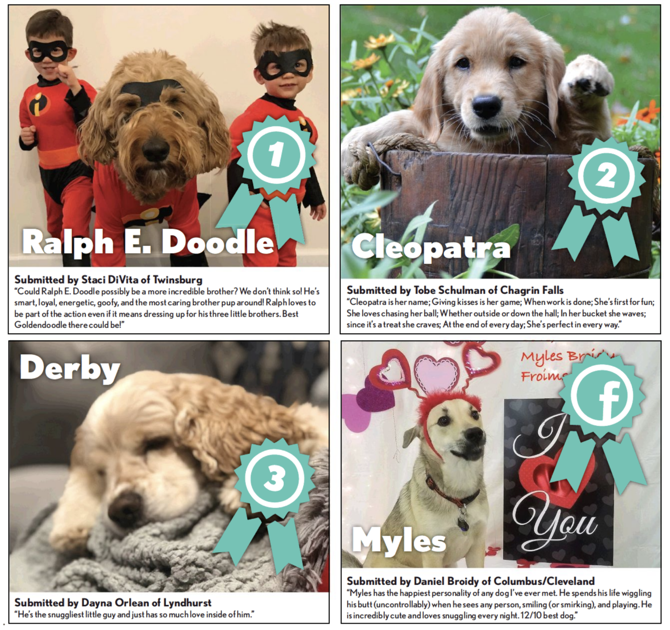 Best Pet Contest winners | Pets | clevelandjewishnews.com
