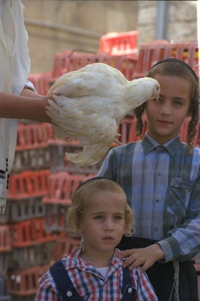 New York judge rules that Jewish chicken-whirling ritual can continue ...