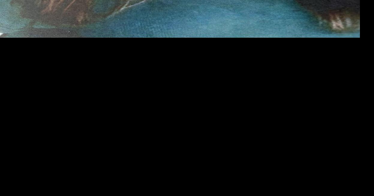 Fishman, Mindi Beth | Obituaries | clevelandjewishnews.com