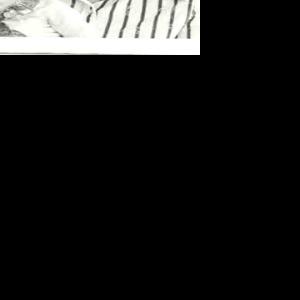 Rich, Arlene | Obituaries | clevelandjewishnews.com