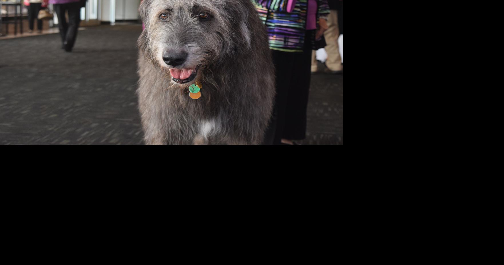 Connor Diamond leaves tall legacy at Landerhaven | Local News ...