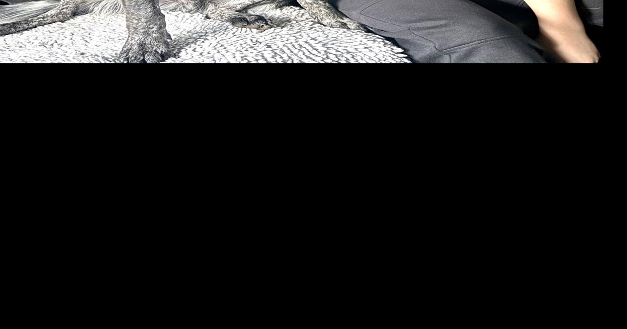 Elliot Robert Sacks | B'nai Mitzvah | clevelandjewishnews.com