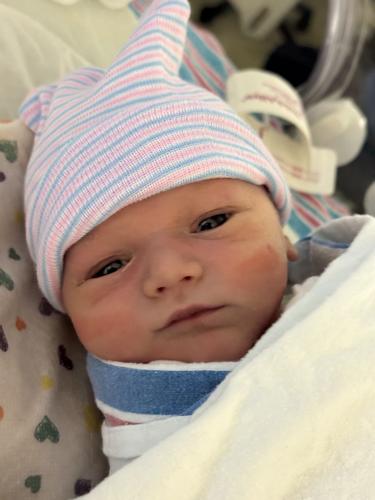 Chava Devorah “Evie” Evenchik | Births | clevelandjewishnews.com