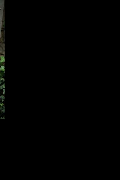 Real estate market expected to be strong in ‘26 | Real Estate ...