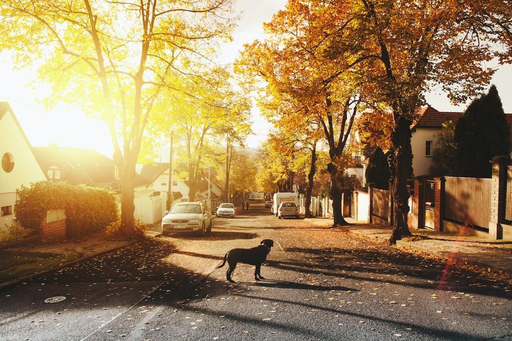 Midwestern charm, prices, amenities motivate people to move here | Real ...