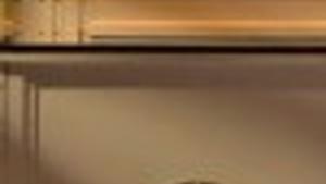 evangeline rubenstein