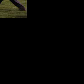 Football coach Rotsky, team dealing with tragedy | Local News ...