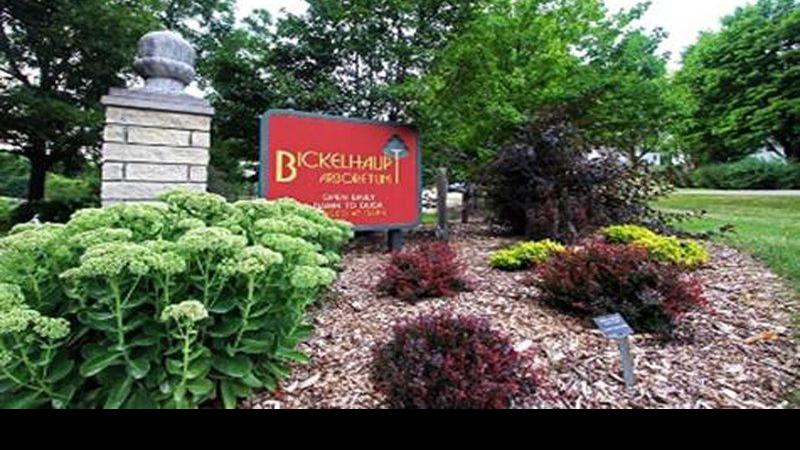 Local News | clintonherald.com