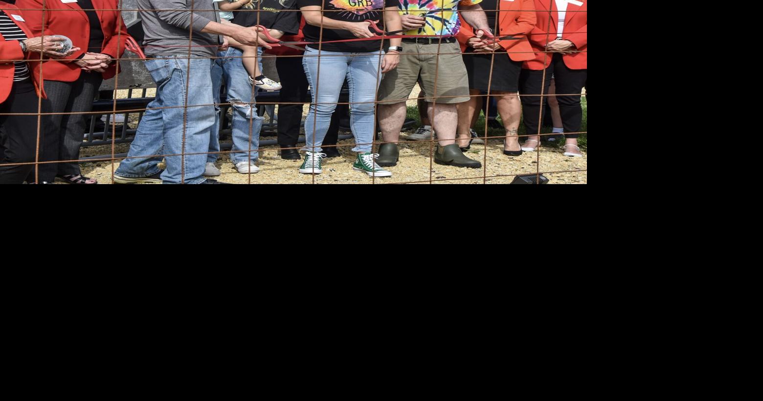 Great Revivalist Brewery celebrates first year of business | Local News ...