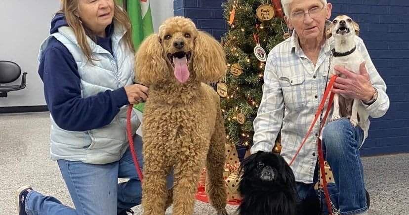 Dogs dash for national title | Local News | clintonherald.com