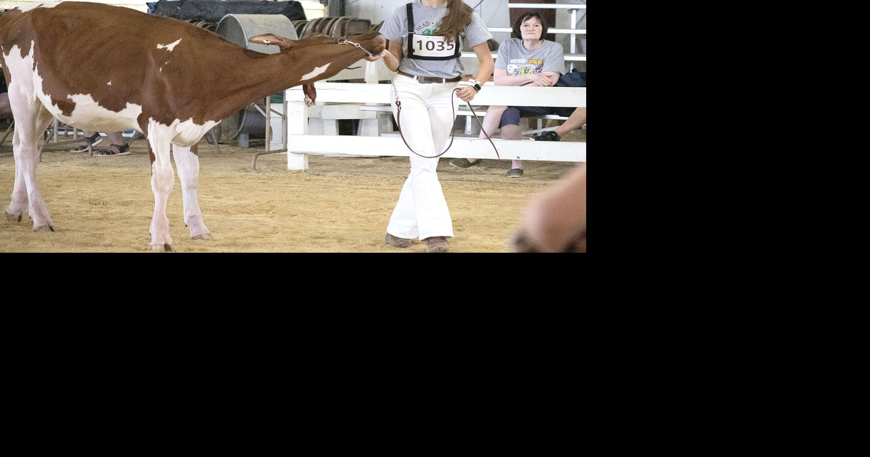 THURSDAY & FRIDAY: Clinton County Fair Schedule | Local News ...