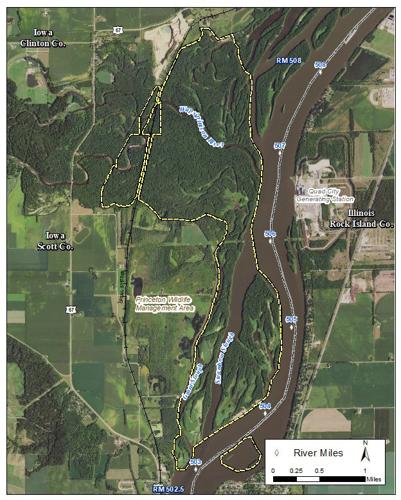 Corps seeks comments on Steamboat Island project | Local News ...